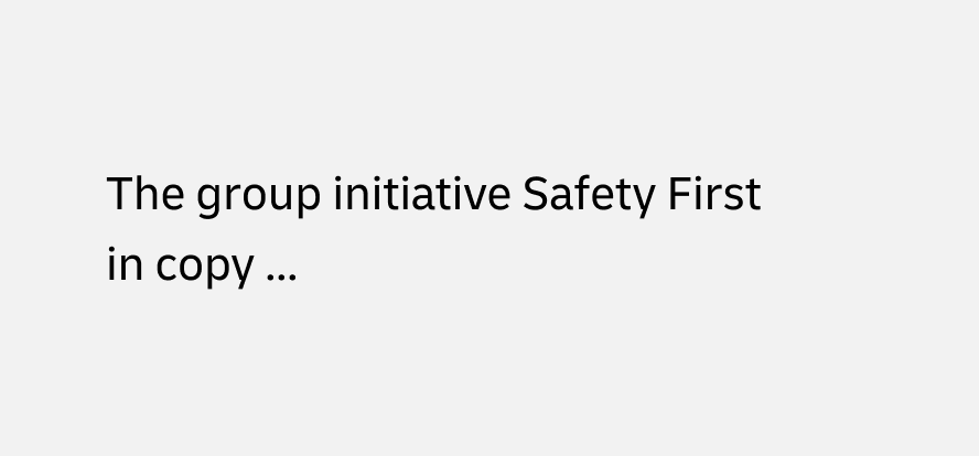 Always use the defined spelling of the group initiative in copy text.