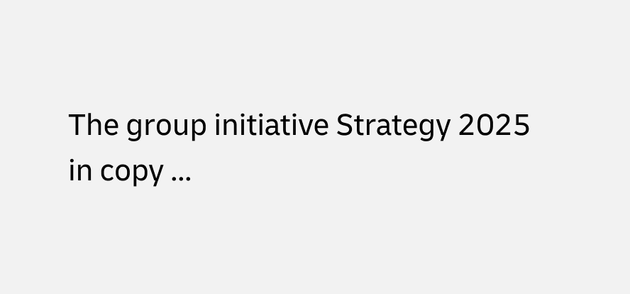 Always use the defined spelling of the group initiative