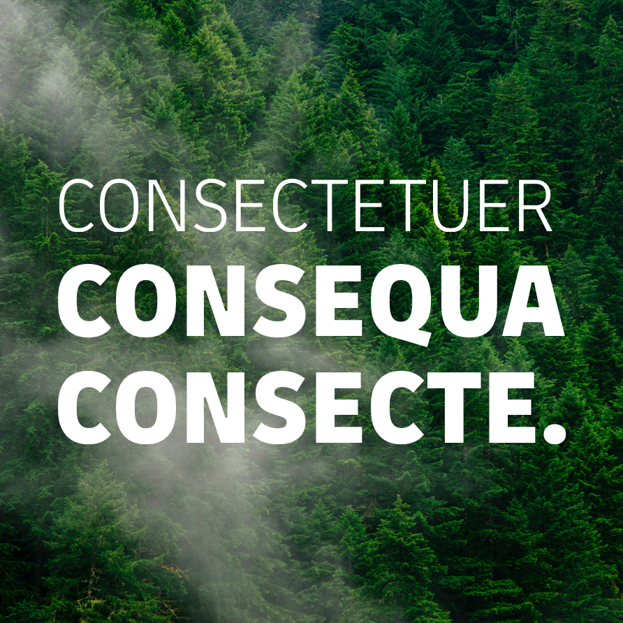 Creating Social Media Posts