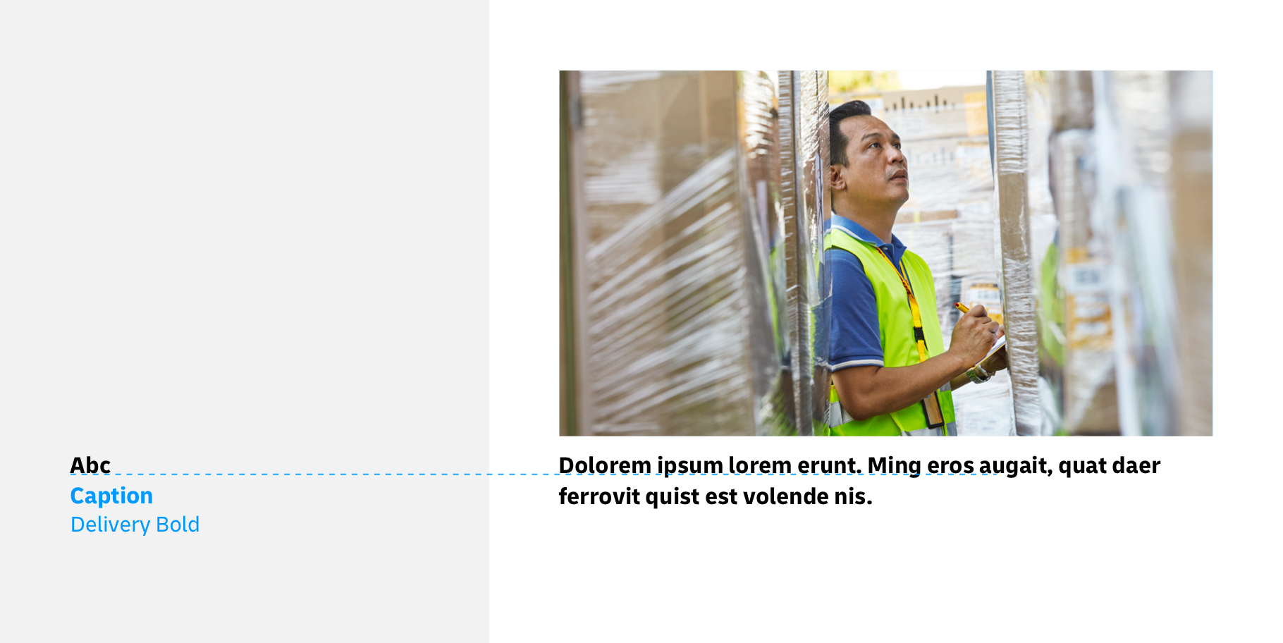 Caption in Delivery Bold